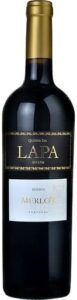 Merlot: tudo sobre uma das uvas mais populares - Vinho Sem Segredo