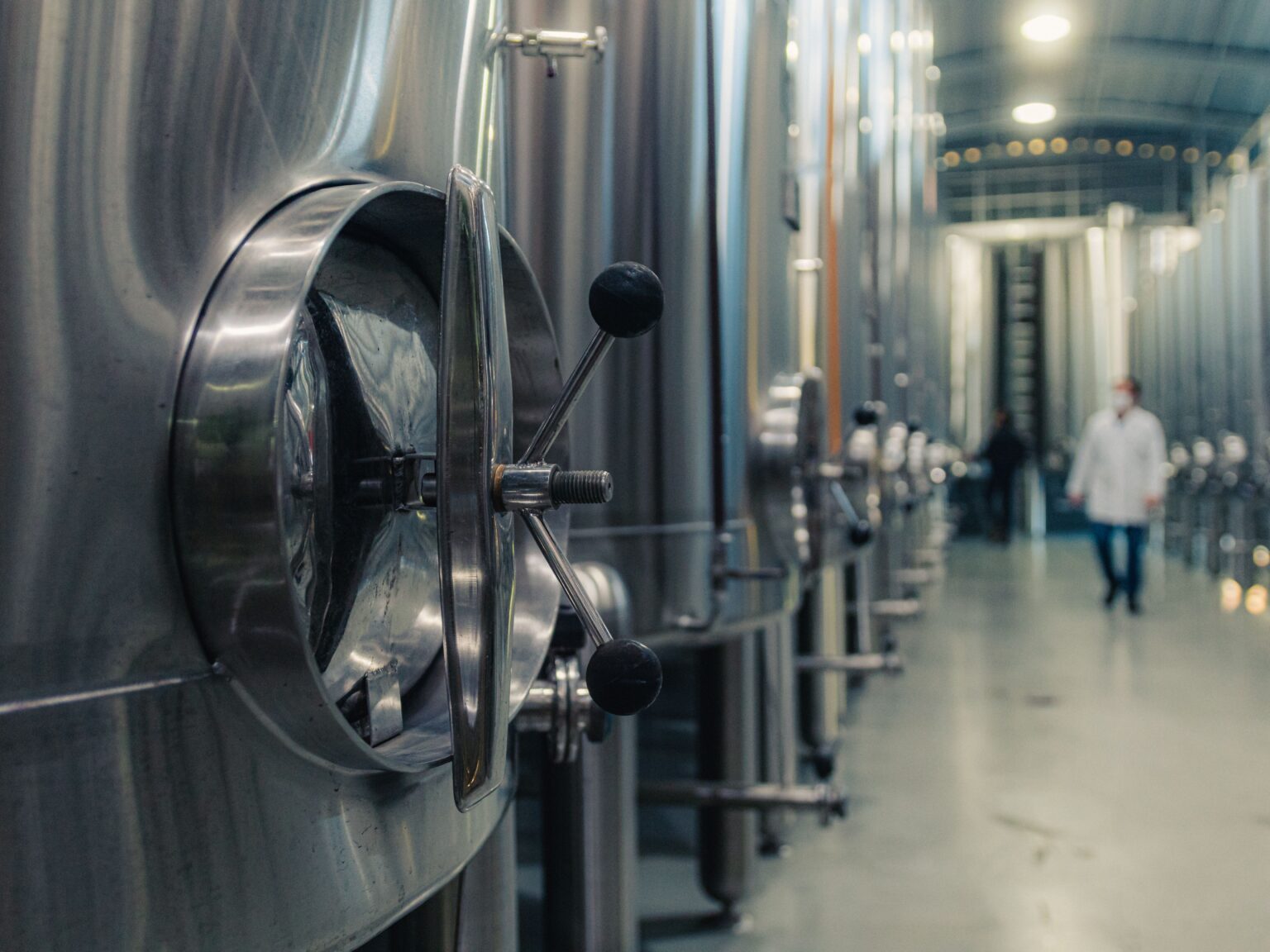 Saiba tudo sobre o processo de vinificação - Vinho Sem Segredo