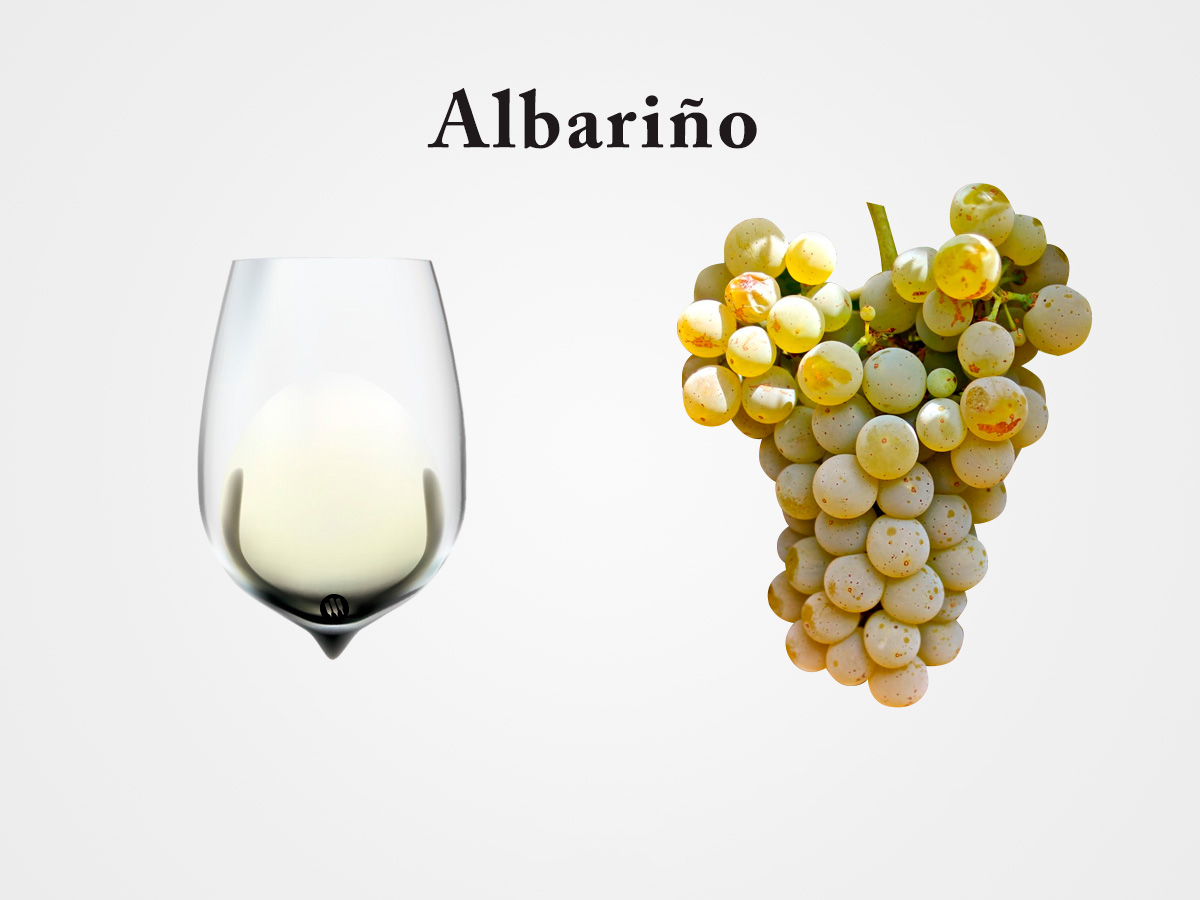 A uva Alvarinho (Albariño) - Vinho Sem Segredo